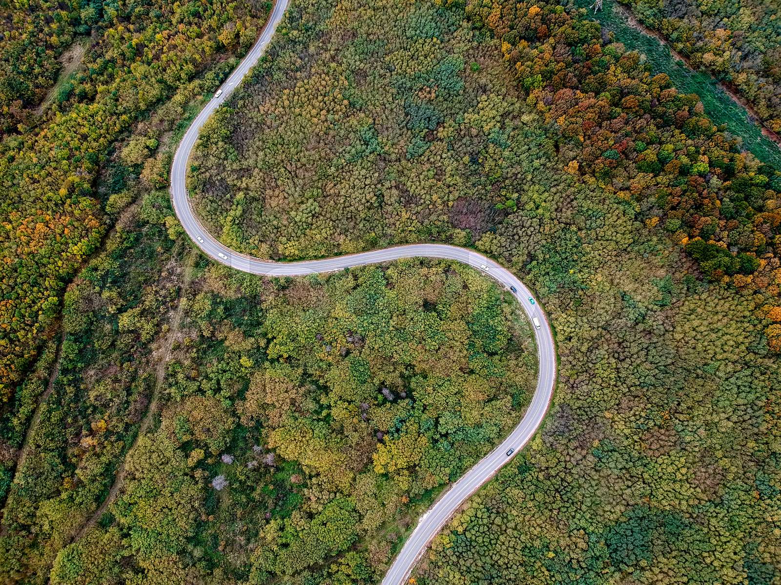 Aerial view of a curly road | Stock image | Colourbox
