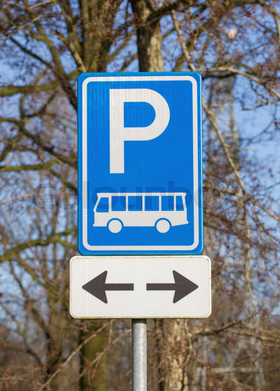 Coach parking only sign | Stock image | Colourbox