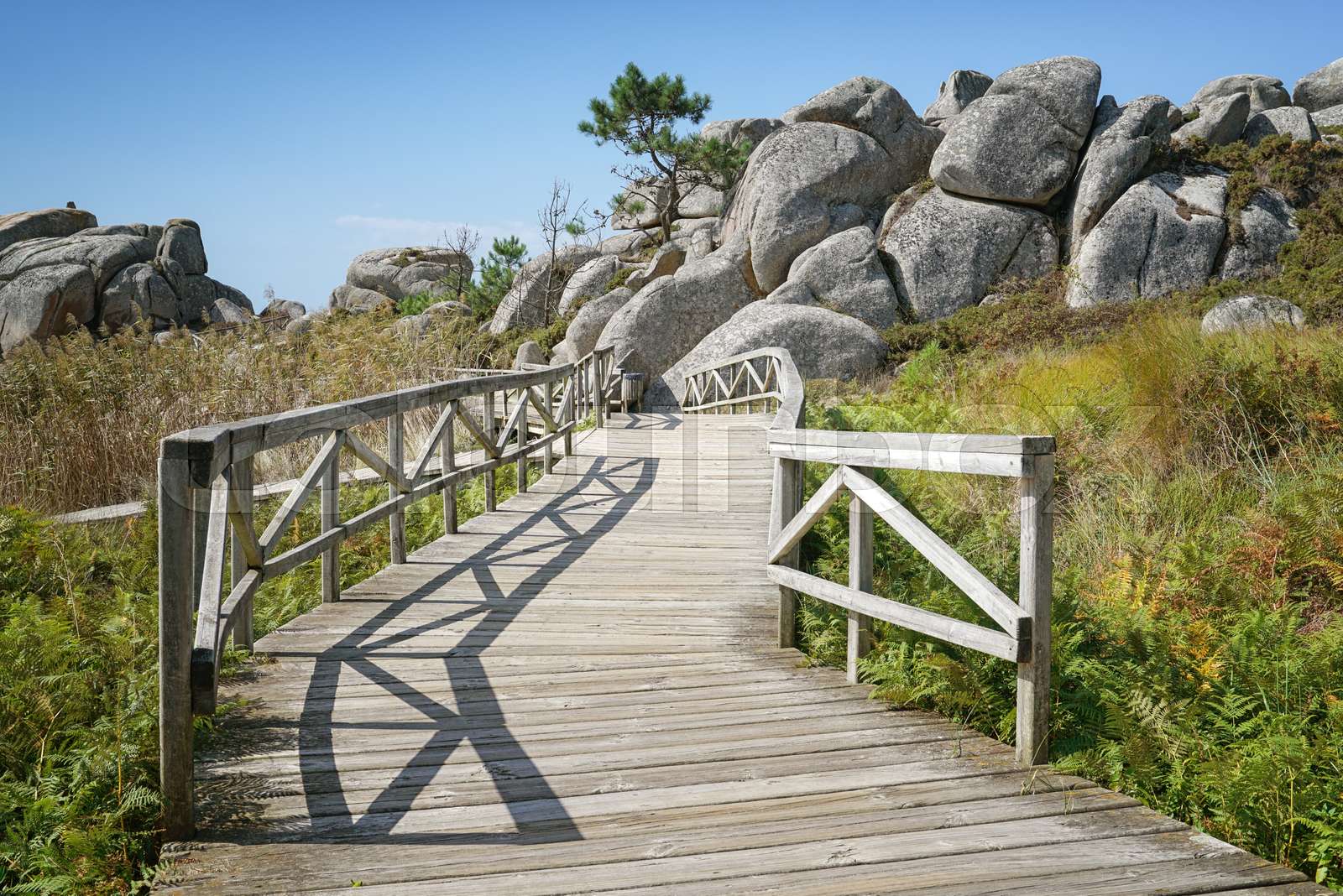 O Grove, Galicia, Spain | Stock image | Colourbox