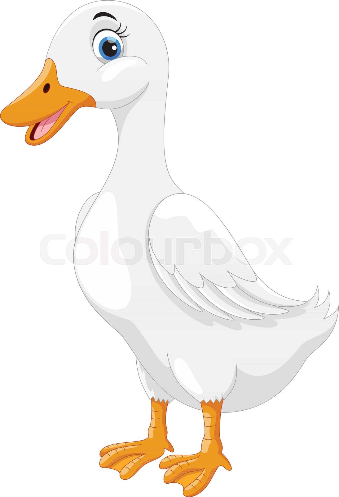White Duck Cartoon