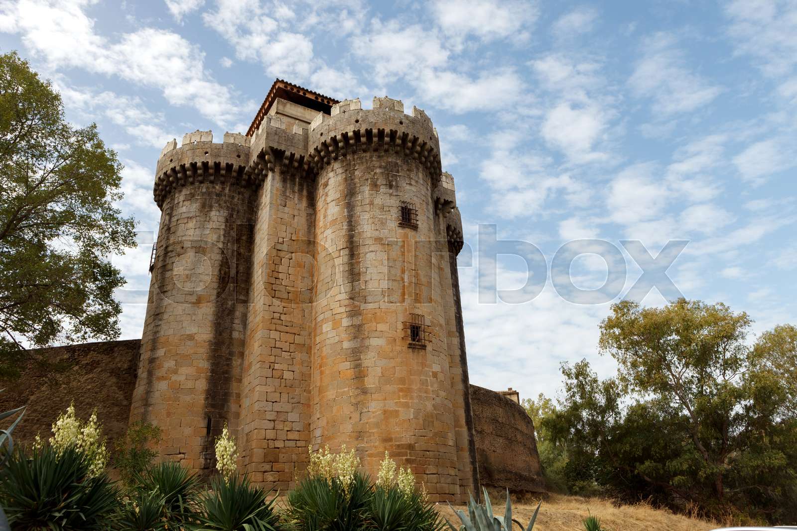 Tower of a castle | Stock image | Colourbox