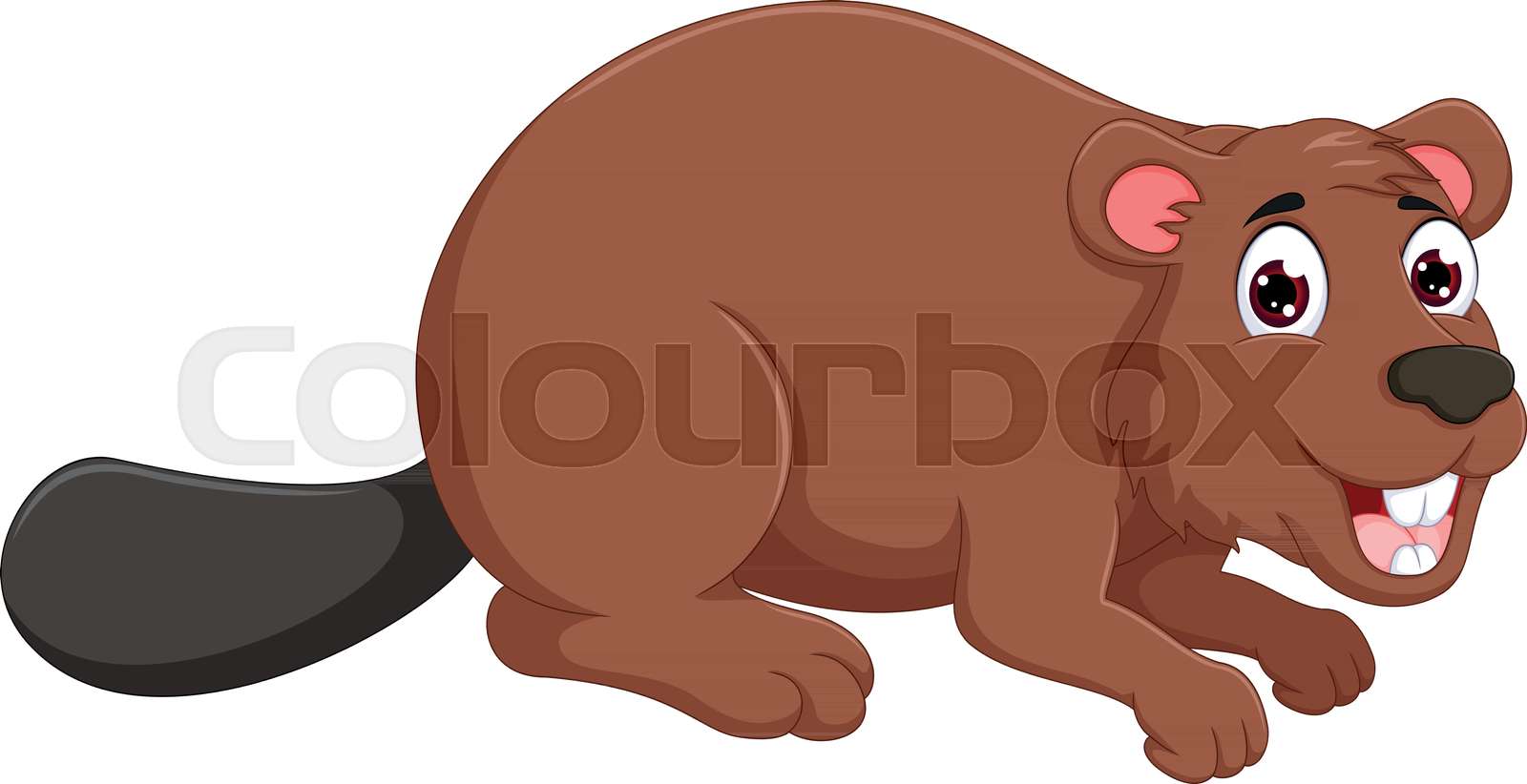 funny marmot cartoon crawl with smiling | Stock vector | Colourbox