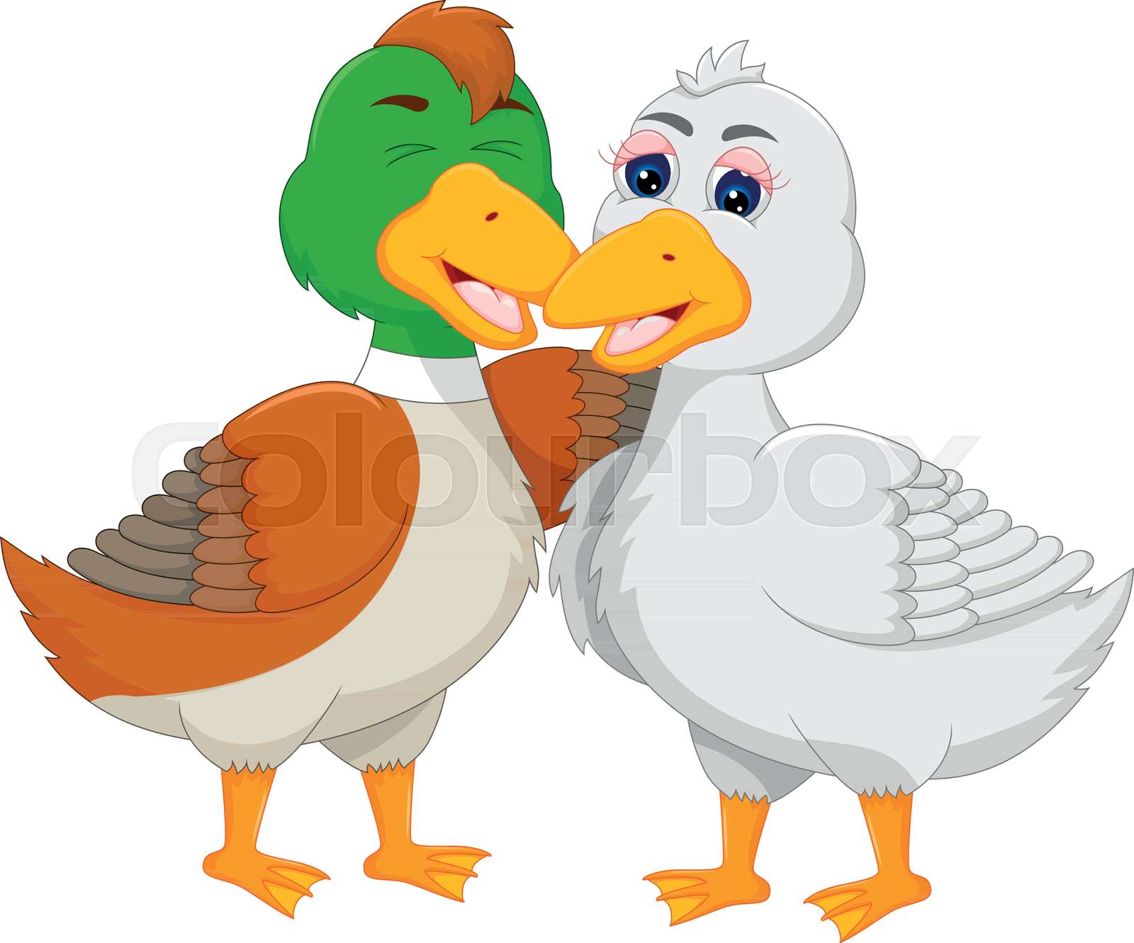 sweet geese cartoon standing with hug and smile | Stock vector | Colourbox