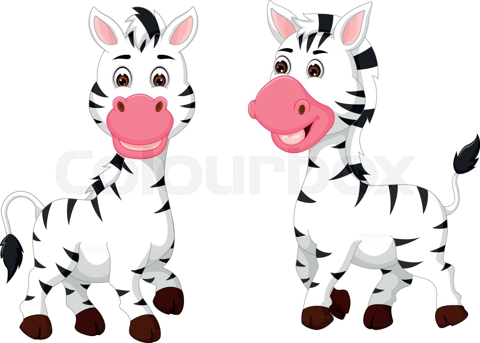 cute zebra cartoon standing with laughing | Stock vector | Colourbox