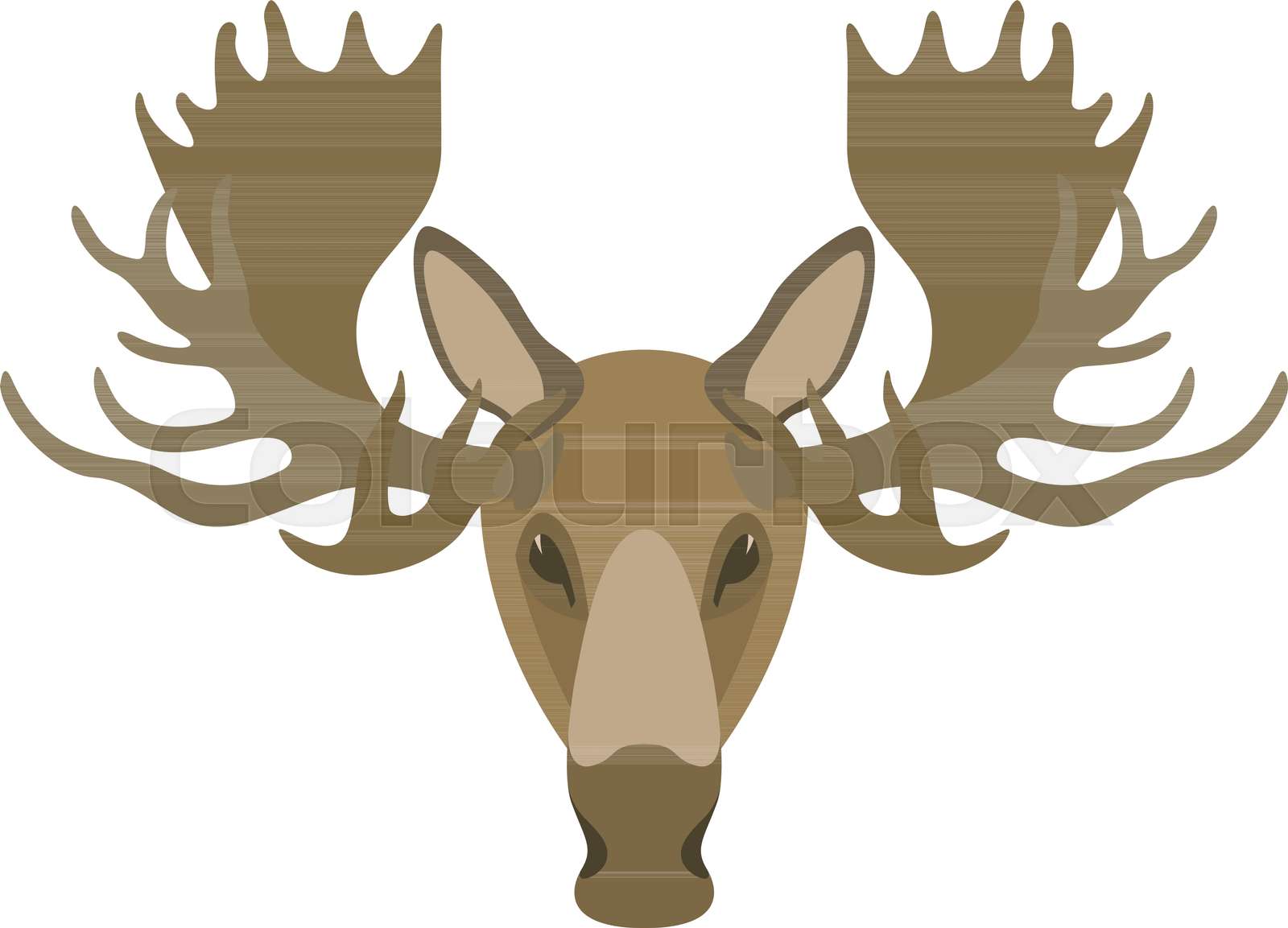 moose head vector illustration | Stock vector | Colourbox