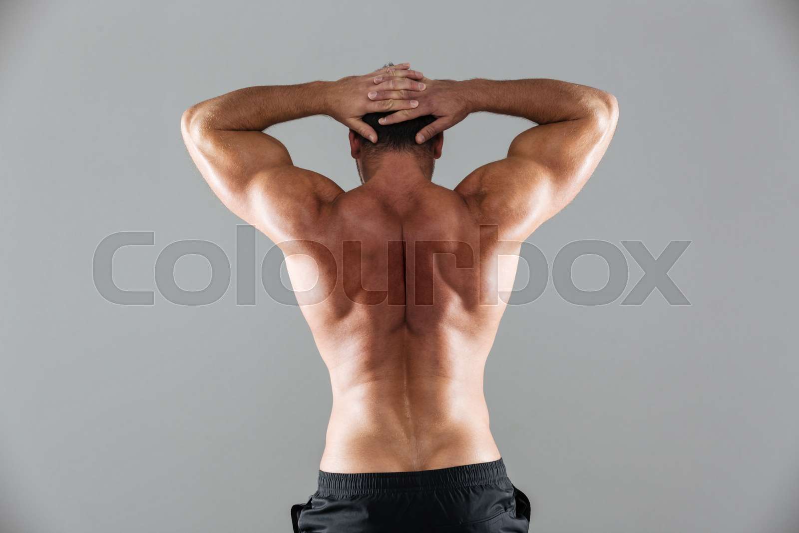Back view portrait of a muscular shirtless male | Stock image | Colourbox