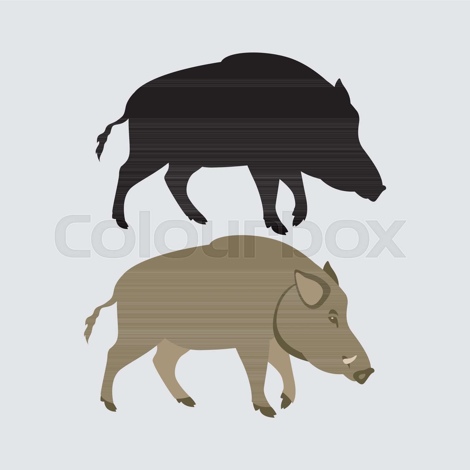 hog vector illustration flat style silhouette black profile | Stock ...