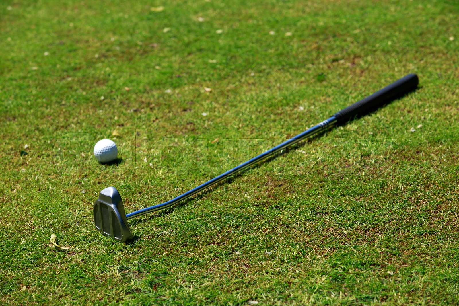 golf-stick and ball | Stock image | Colourbox