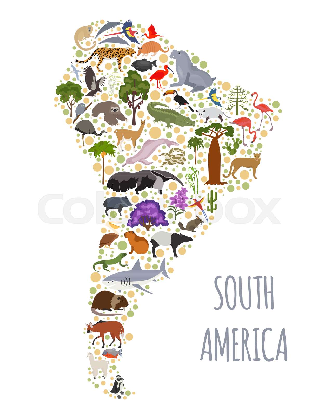 South America flora and fauna map, flat elements. Animals, birds and ...