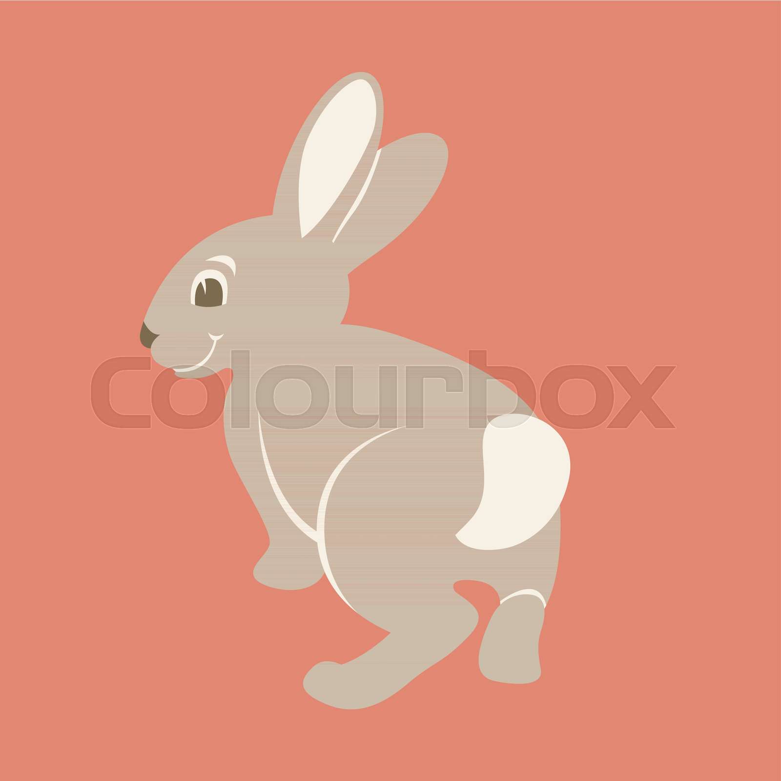 rabbit vector | Stock vector | Colourbox