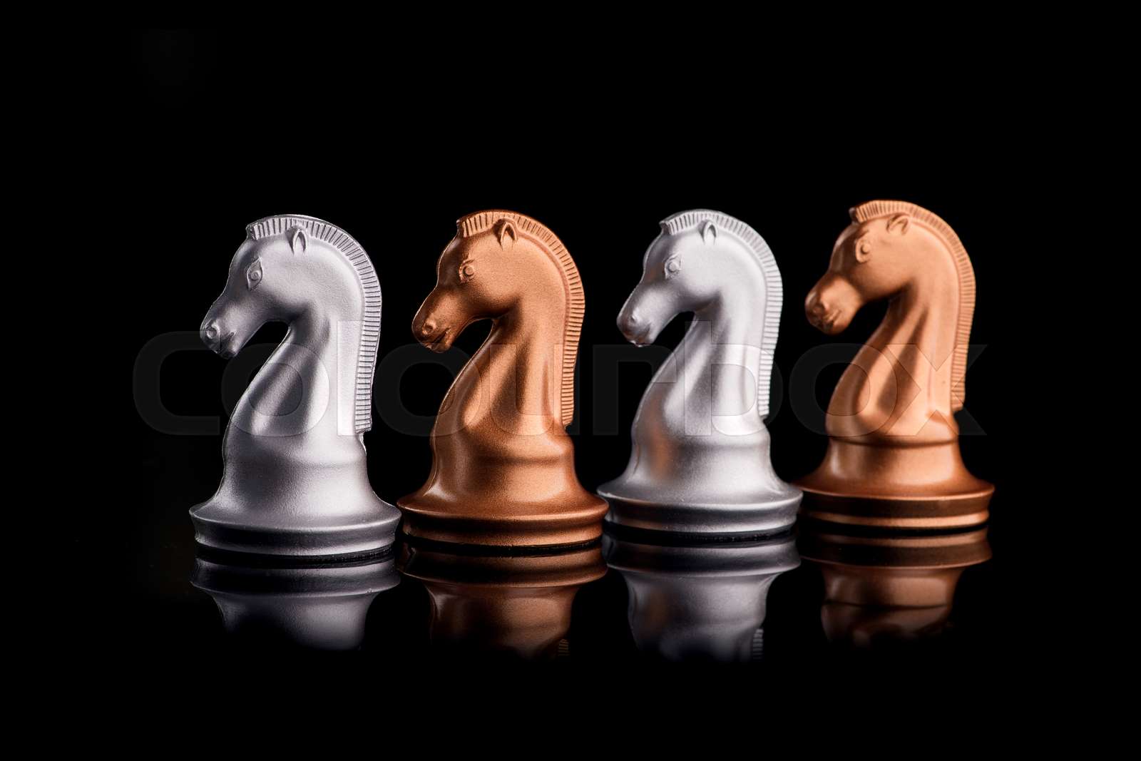 group of chess horses | Stock image | Colourbox