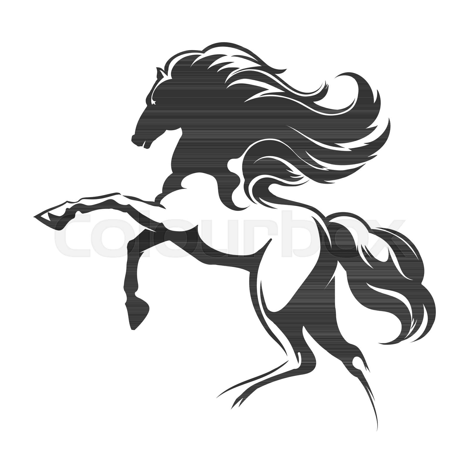 pferd, schattenriss, kontur | Stock-Vektor | Colourbox