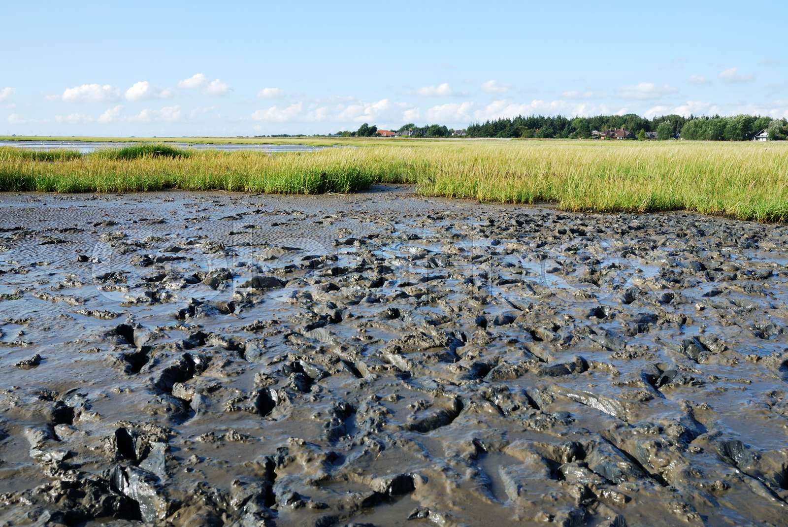Wadden Sea | Stock image | Colourbox