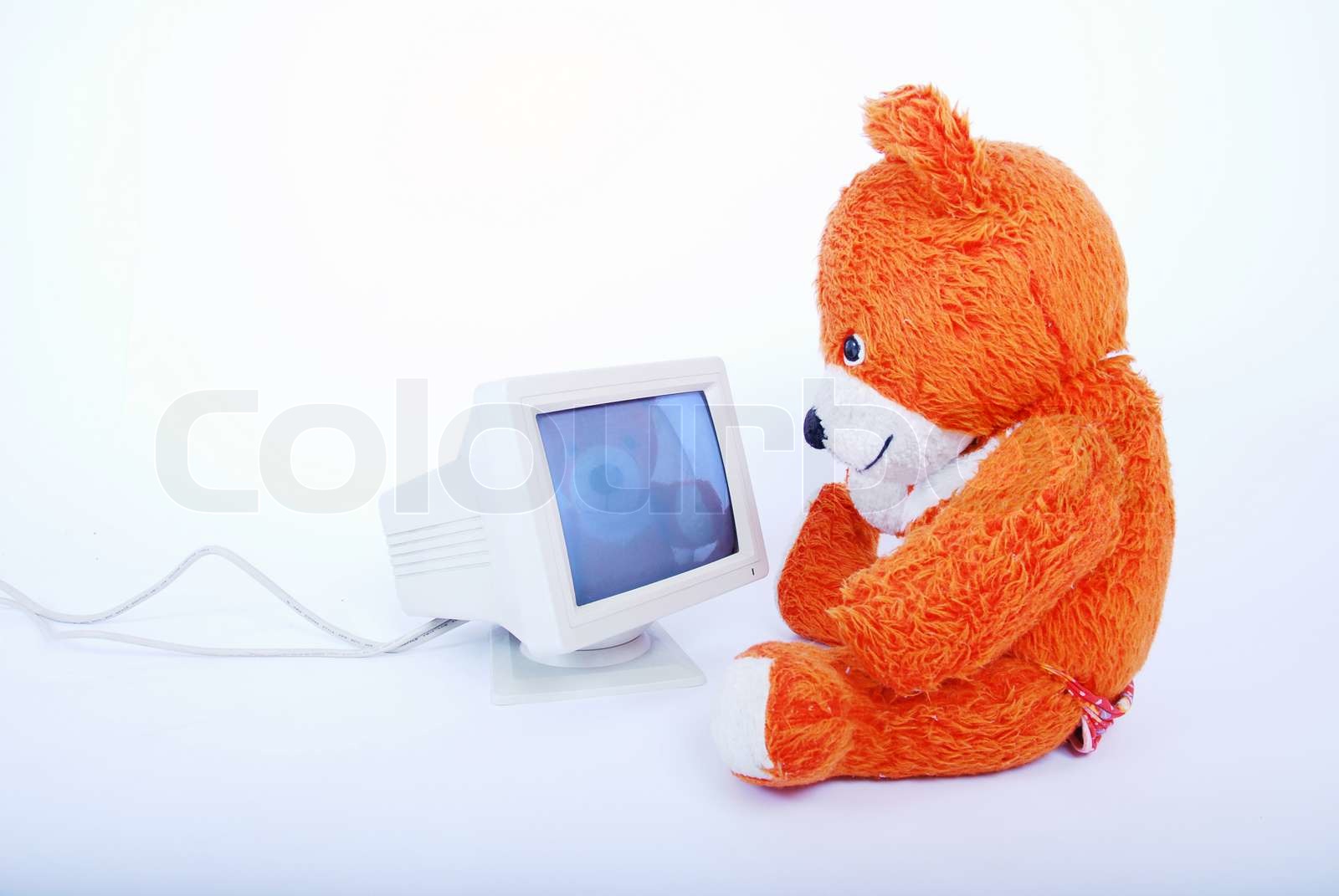 bear watching computer monitor | Stock image | Colourbox