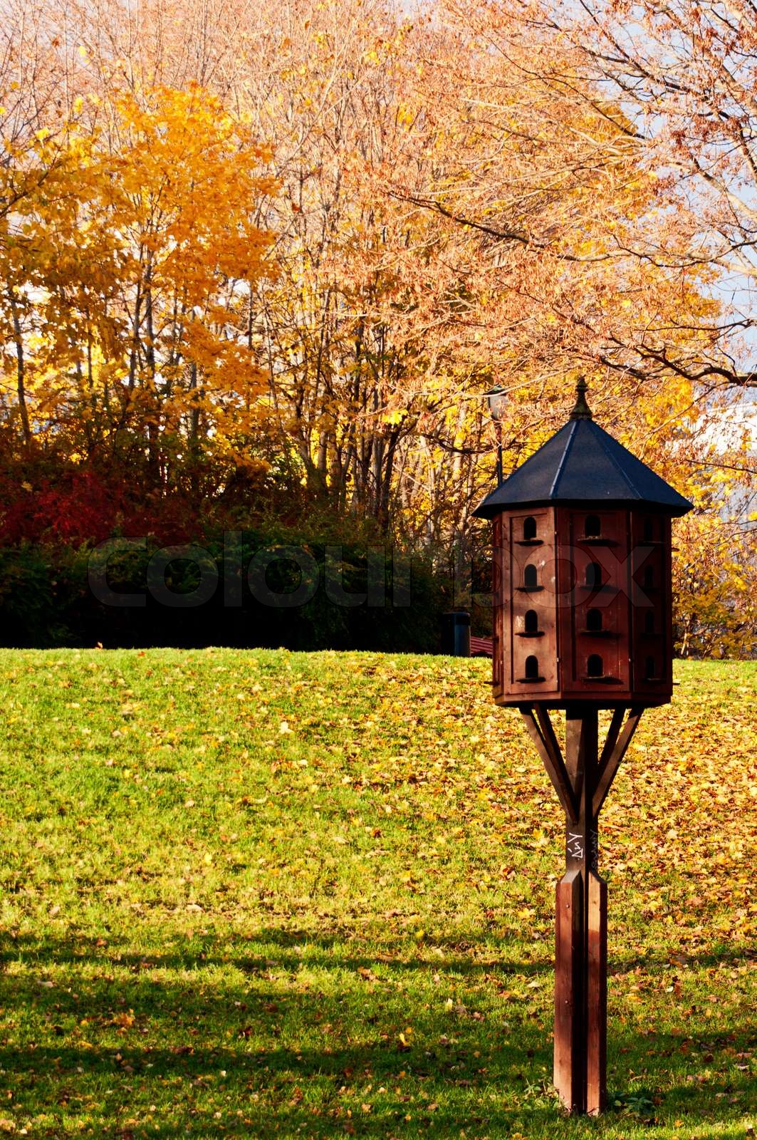 Bird house in city park at fall autumn | Stock image | Colourbox