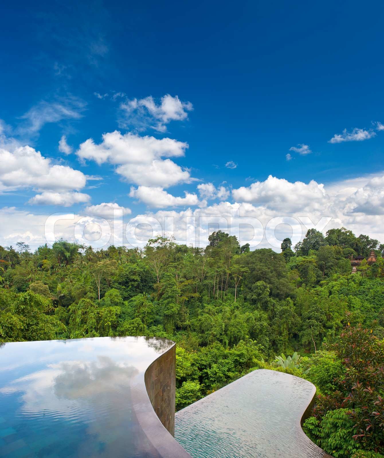 beautiful pool in the tropical rain forest | Stock image | Colourbox