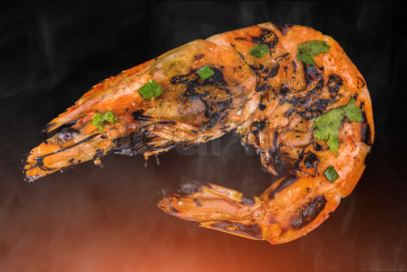Barbeque grilled prawns with spicy ingredients. | Stock image | Colourbox