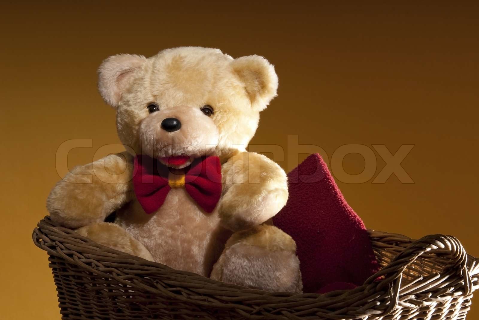 "teddy bear" | Stock image | Colourbox