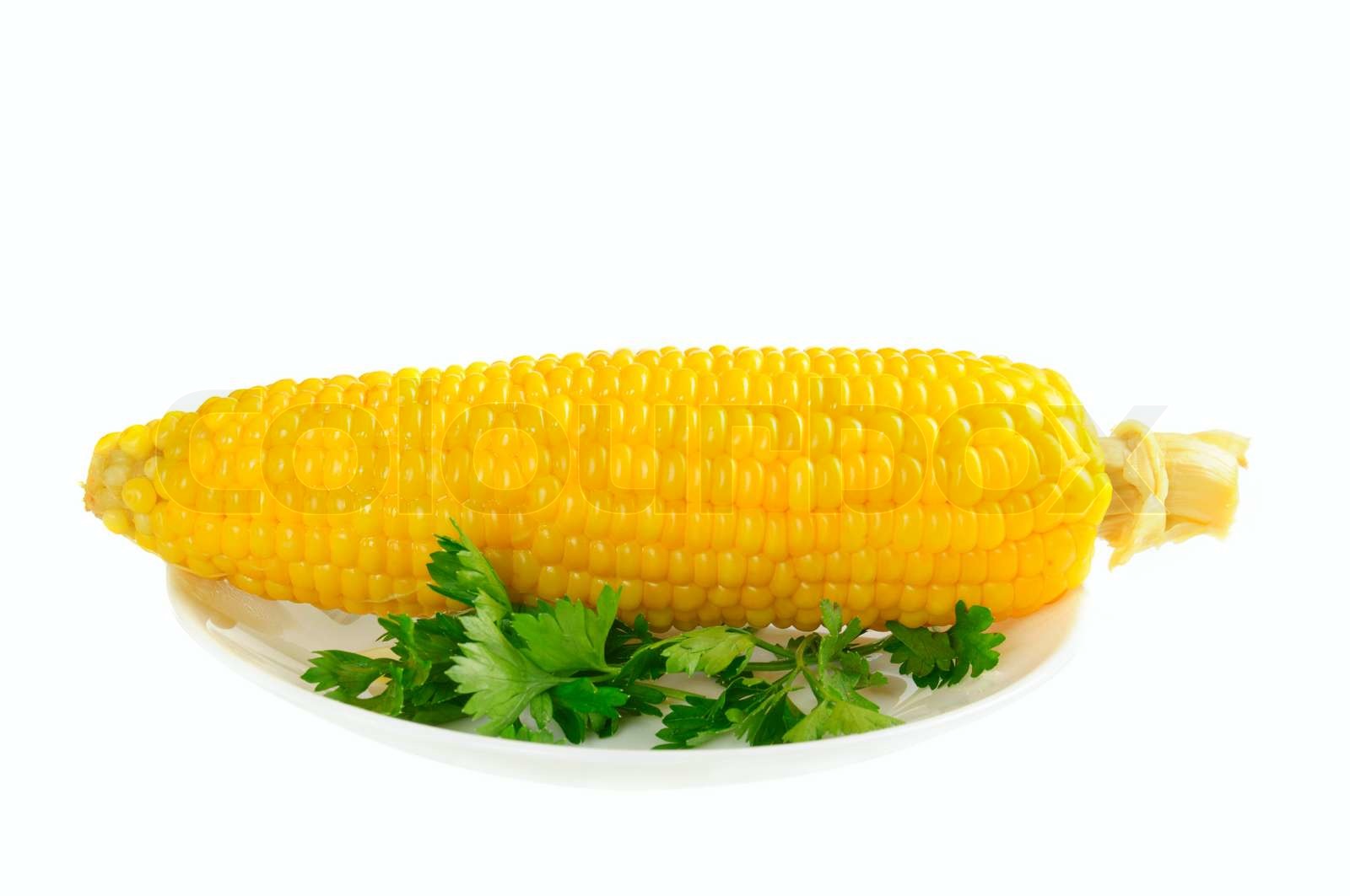 Boiled corn on the plate with green parsley isolated | Stock image ...