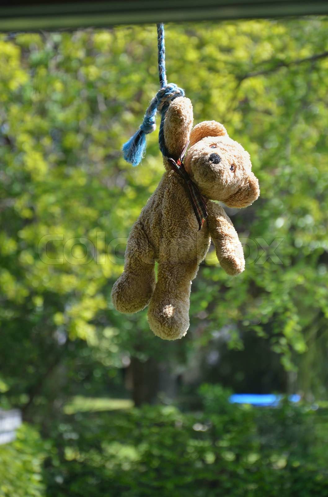 hanging teddy bear | Stock image | Colourbox