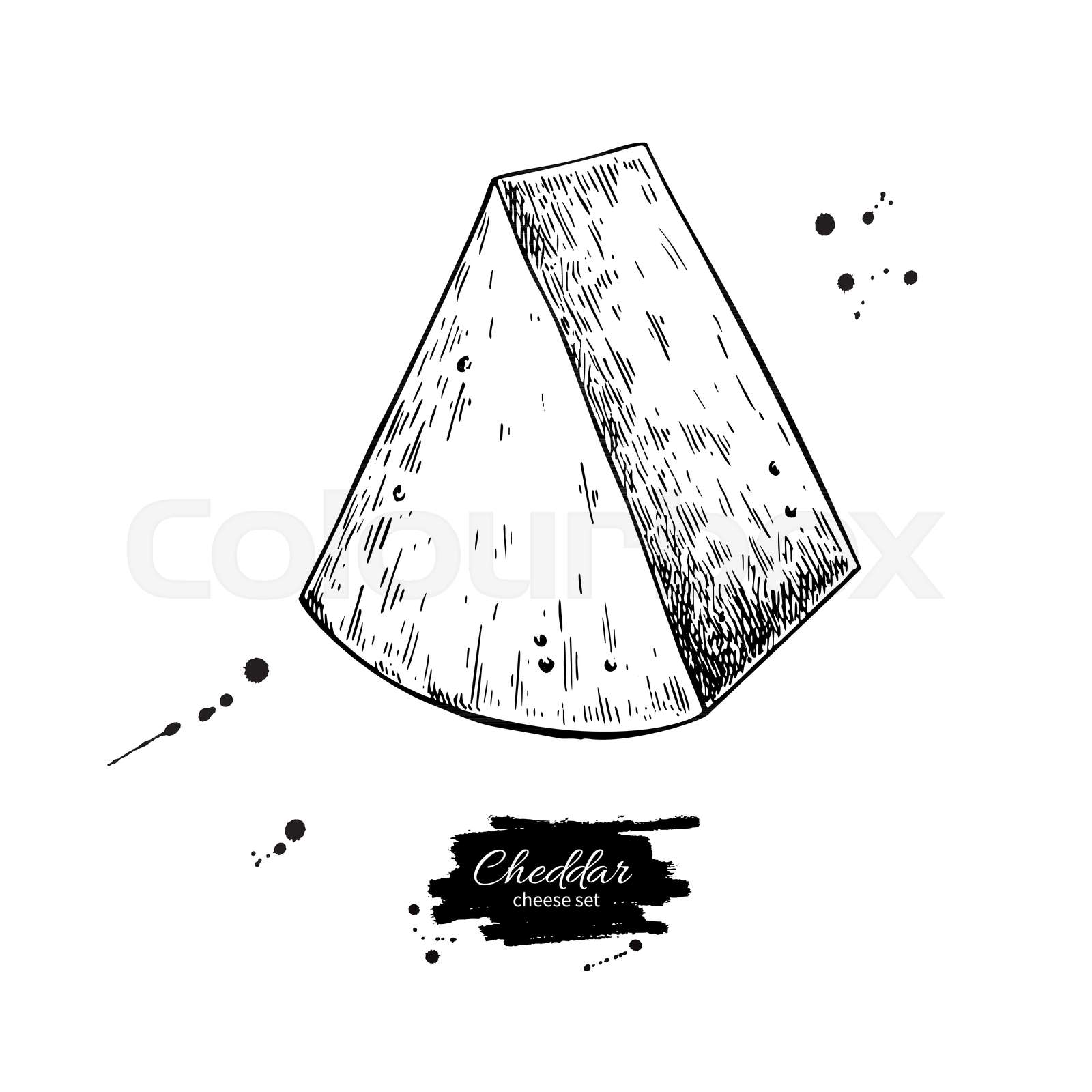 Cheddar cheese drawing. Vector hand drawn food sketch. Engraved | Stock ...