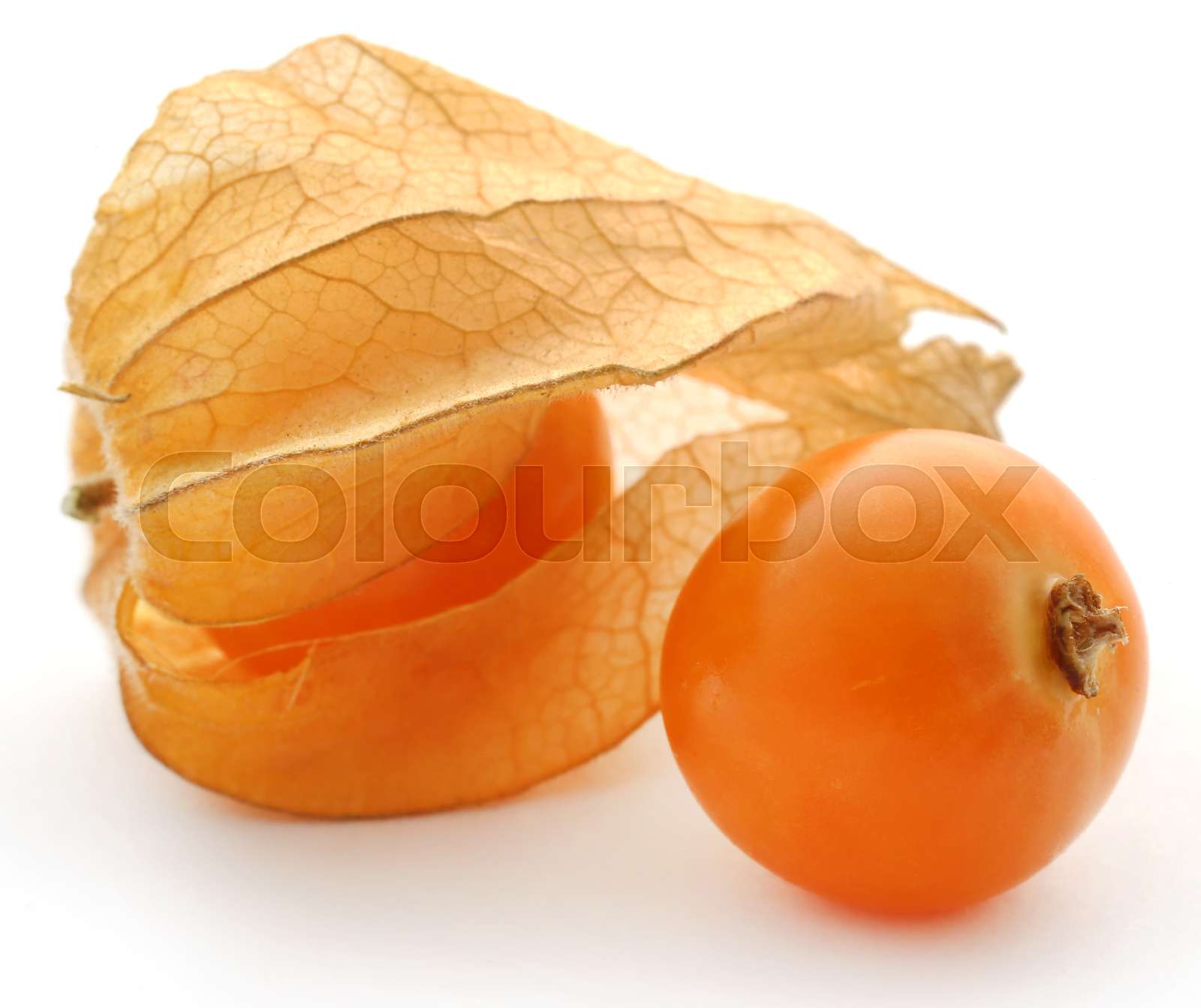 Fresh edible physalis | Stock image | Colourbox