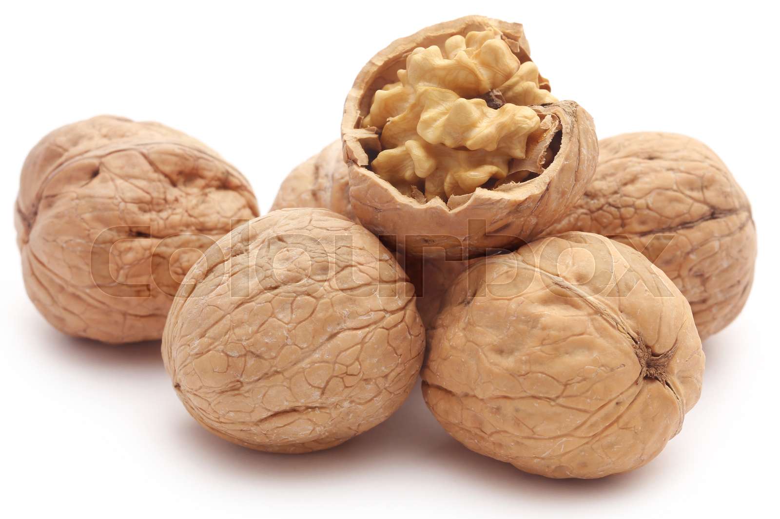 Walnut | Stock image | Colourbox