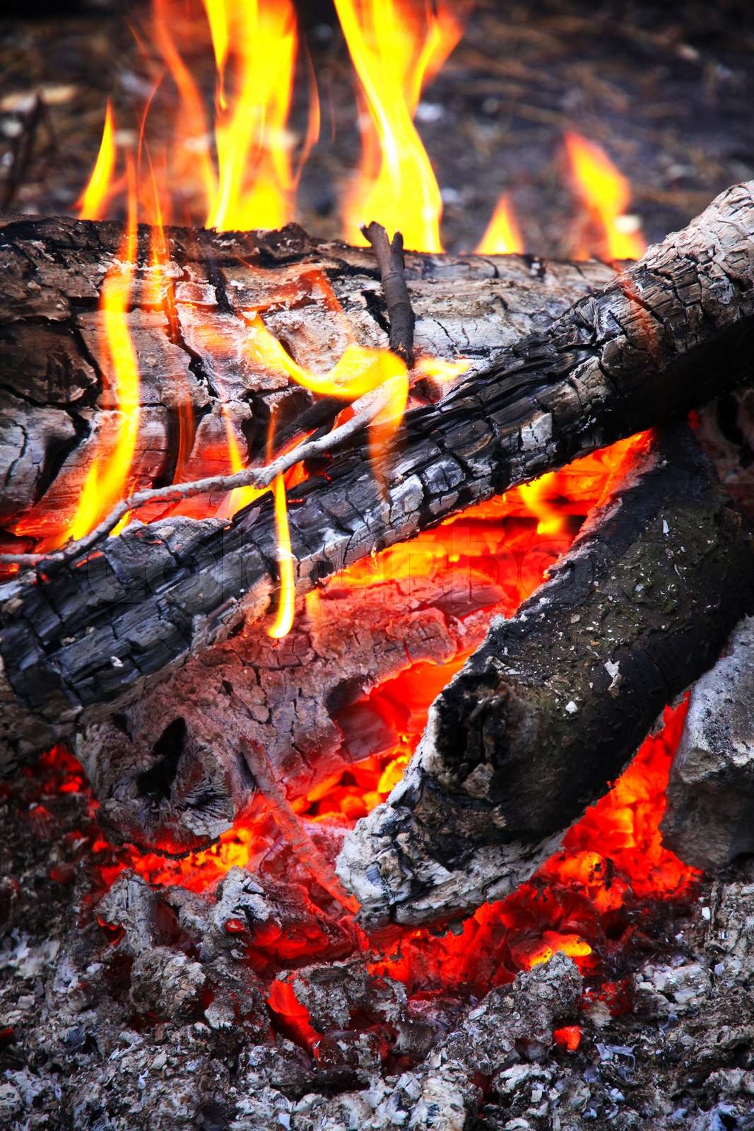 Close-up wooden campfire with burning coals | Stock image | Colourbox