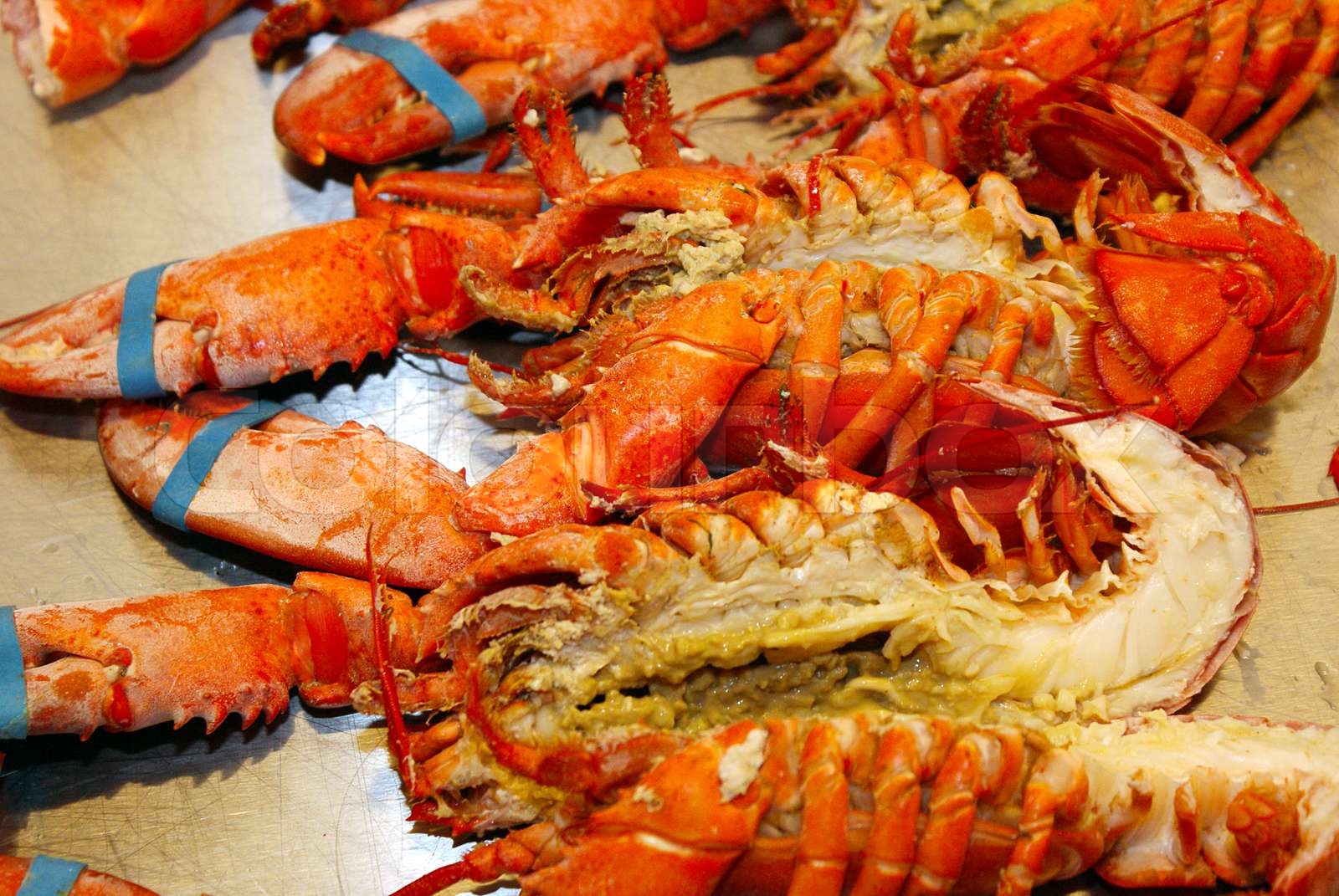 Raw lobsters | Stock image | Colourbox