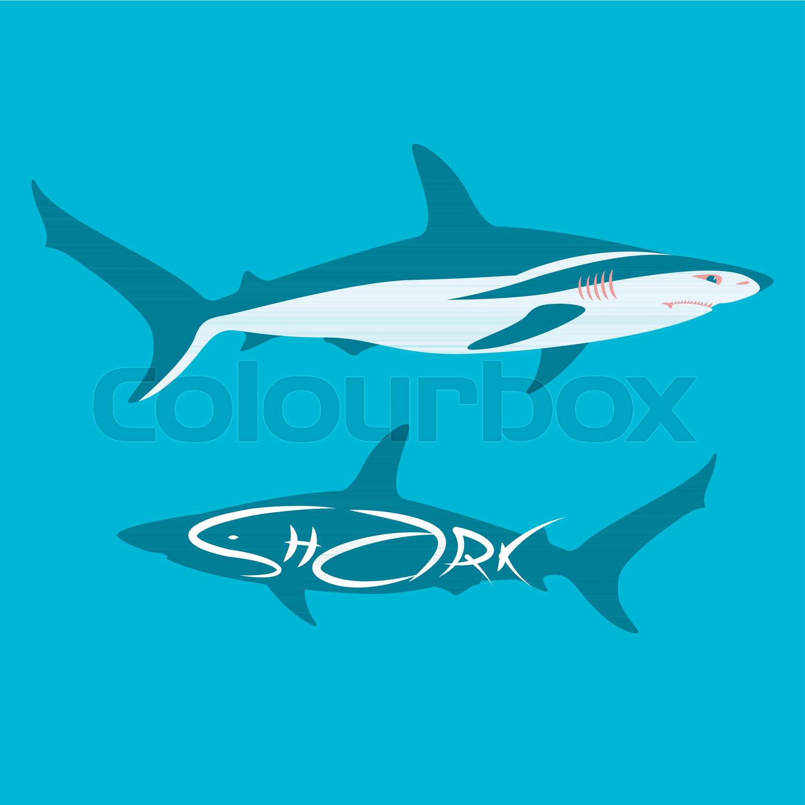 shark vector illustration flat | Stock vector | Colourbox