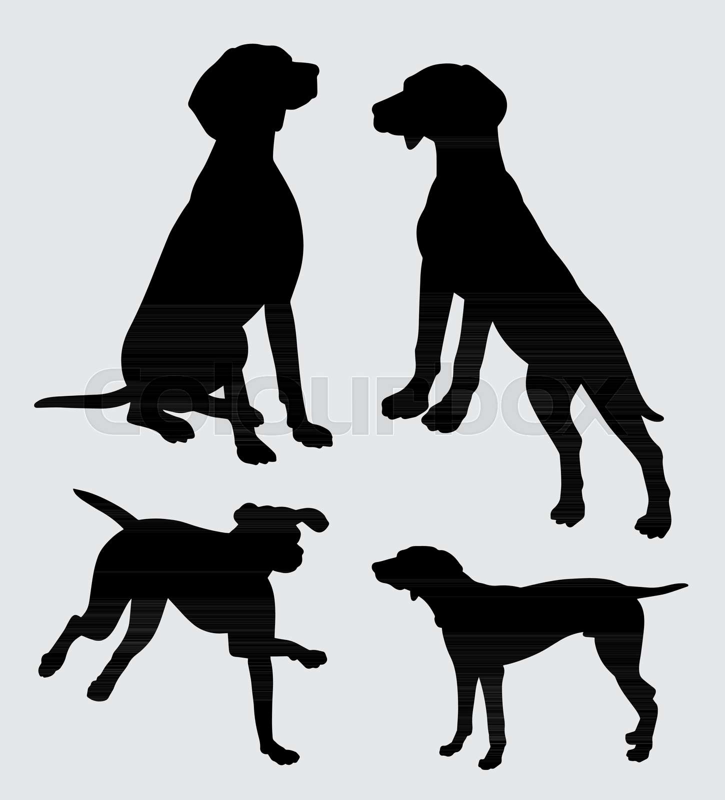 vizsla dog action silhouette good use for symbol, logo, web icon ... vizsla dog action silhouette good use for symbol, logo, web icon ...