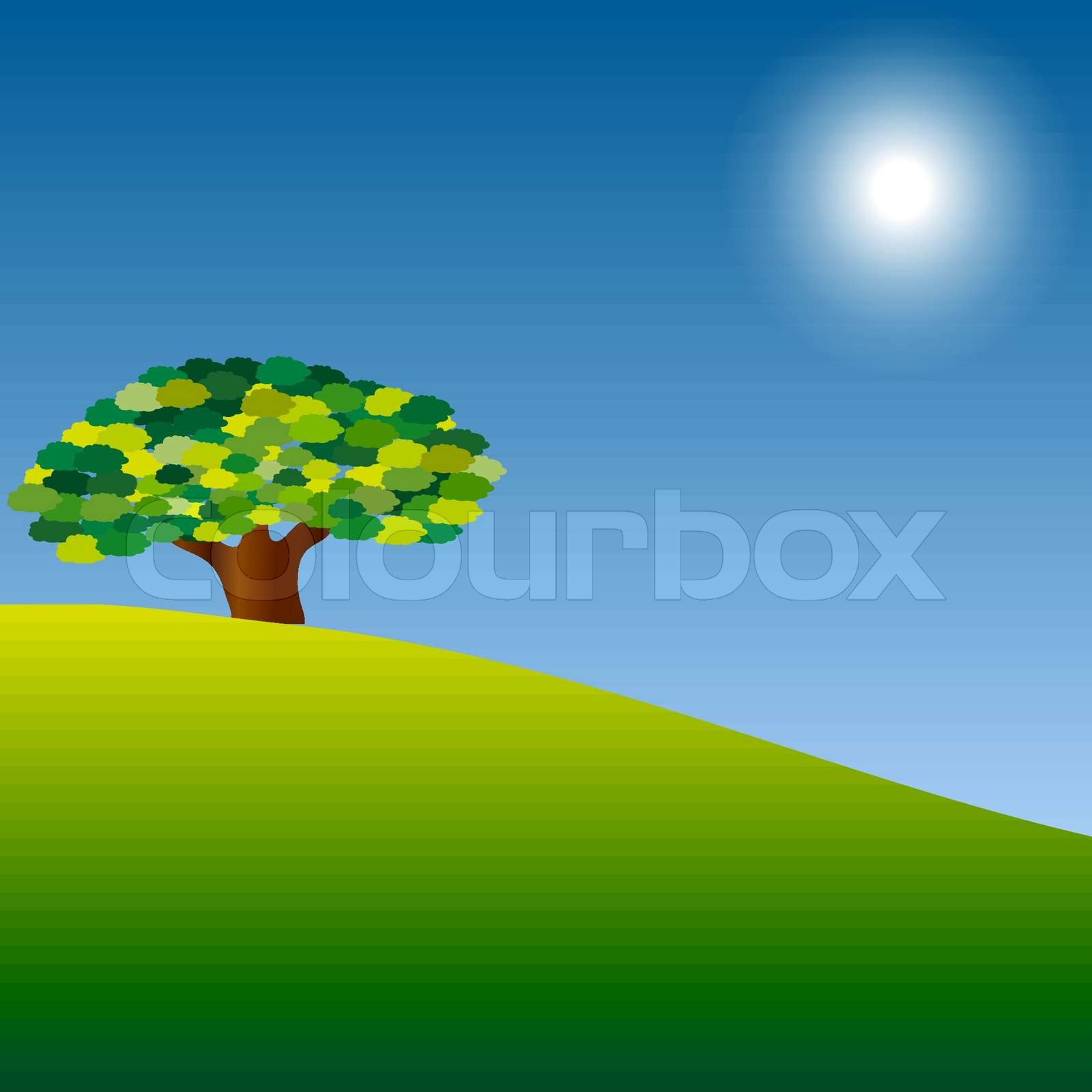 Beautiful green tree | Stock vector | Colourbox