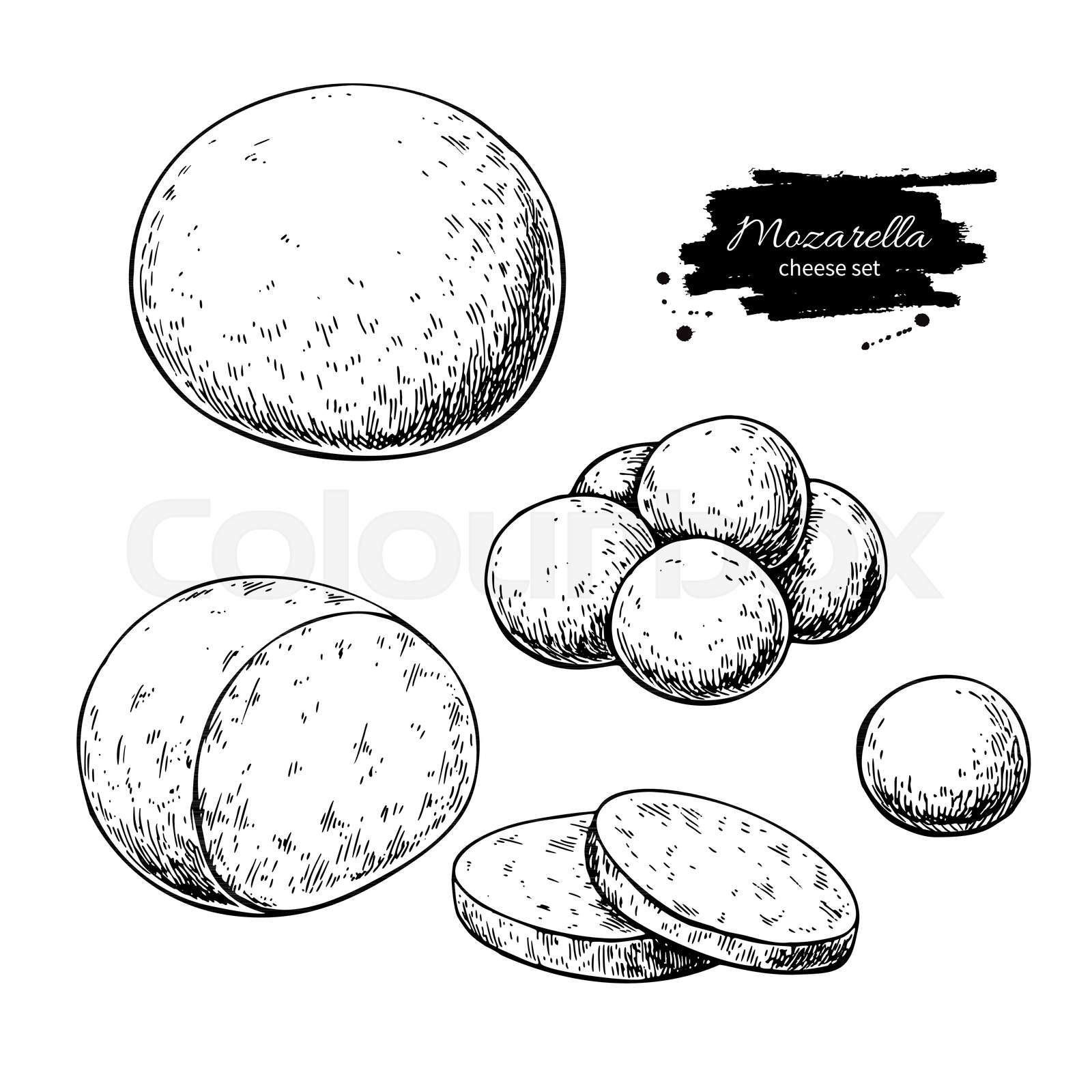 Mozzarella cheese vector drawing. Hand drawn round piece with baby ...
