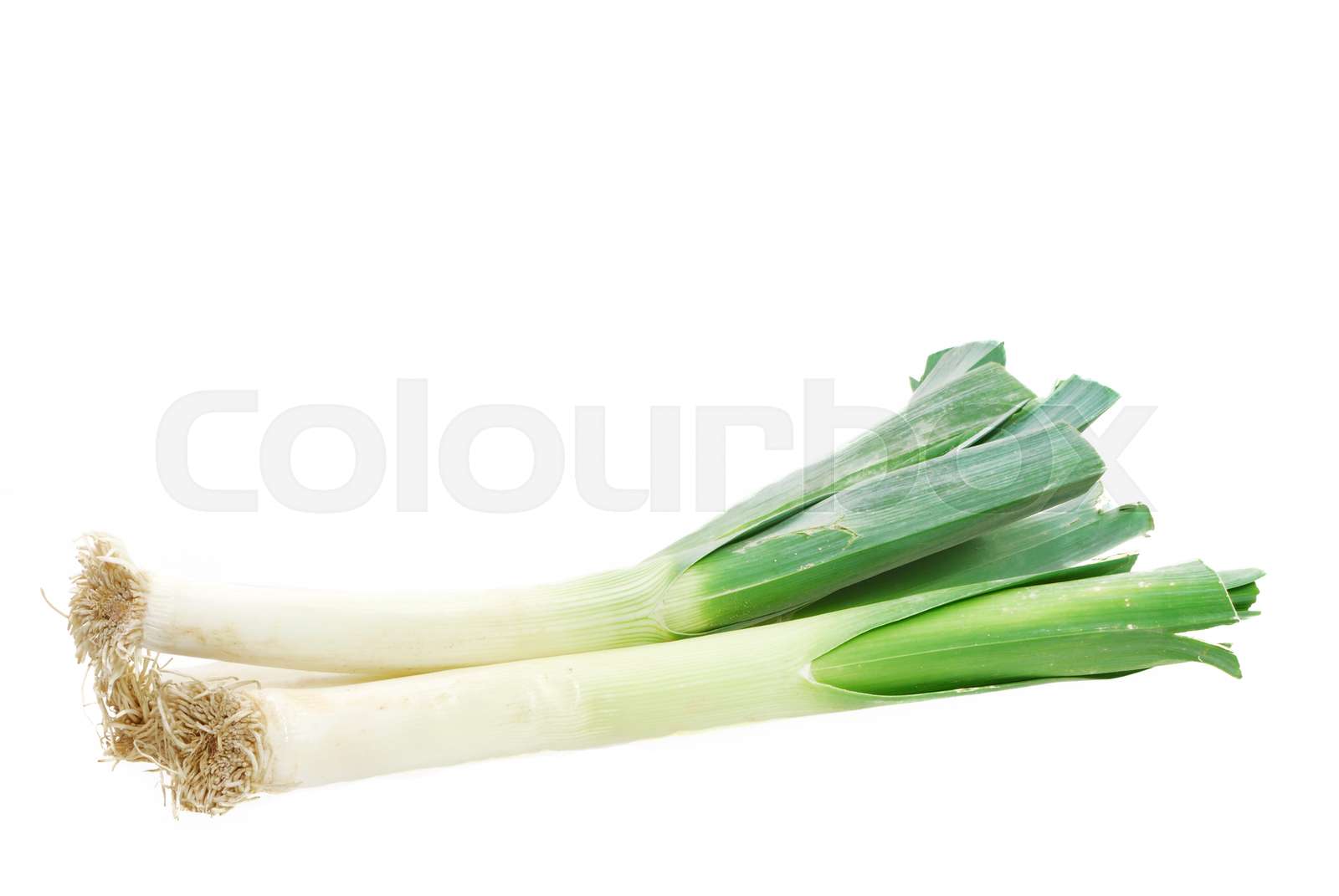 Green Leek | Stock image | Colourbox