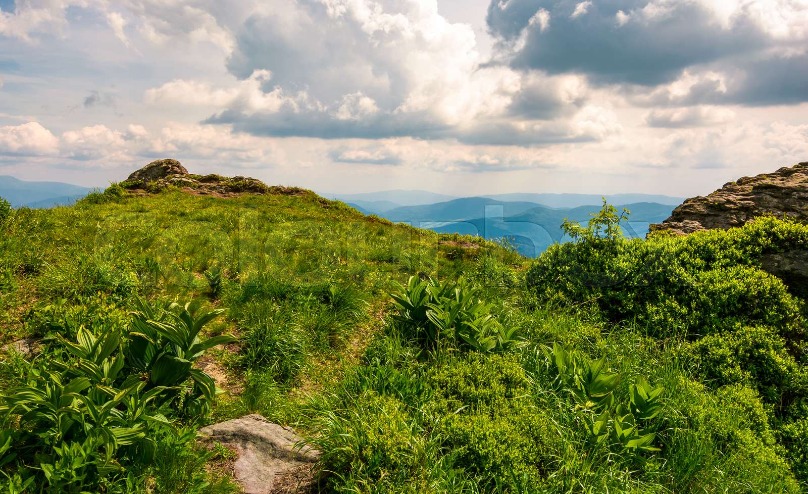 grassy edge of a hill | Stock image | Colourbox