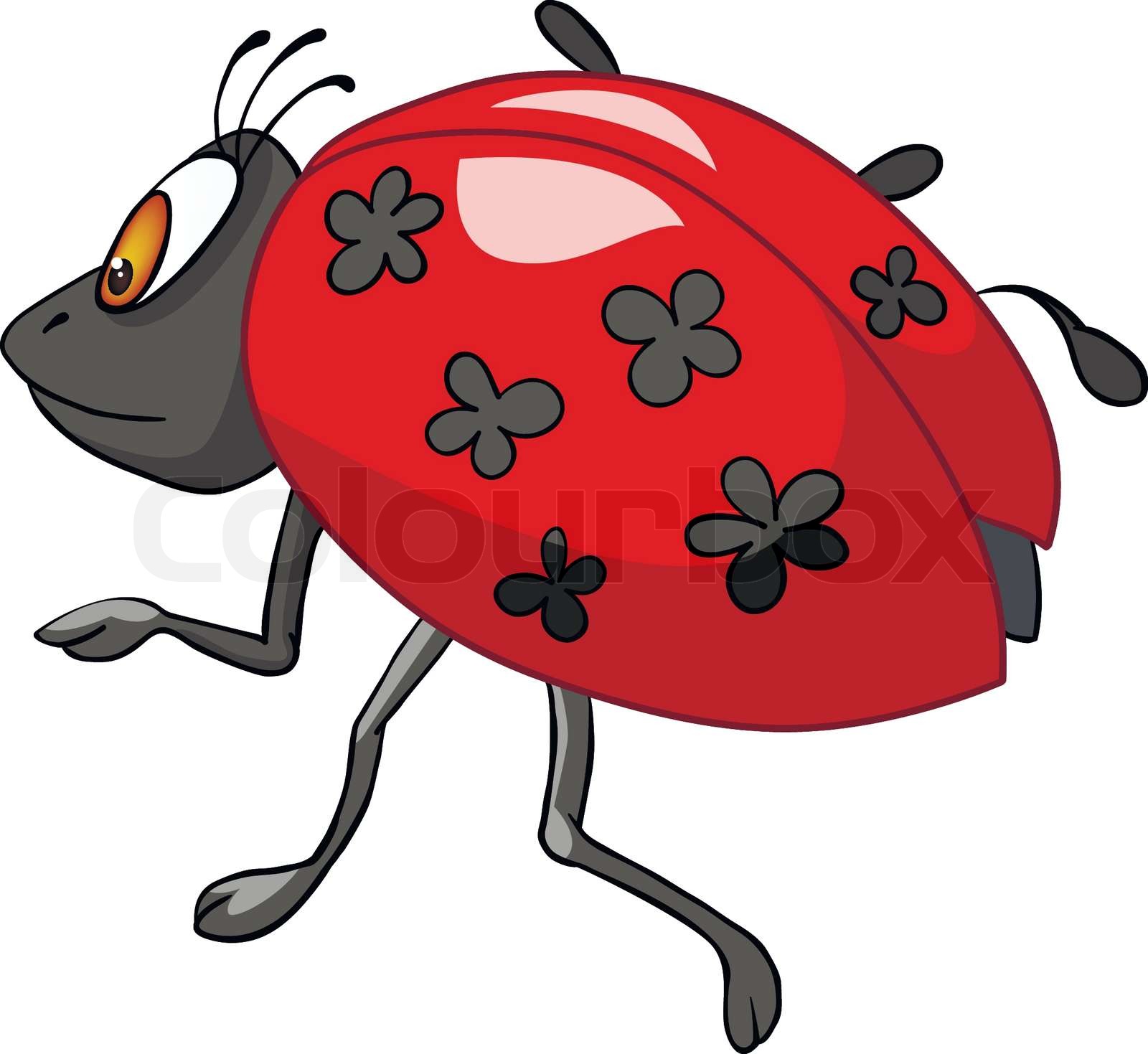 Cartoon Character Ladybird Isolated on White Background | Stock vector ...