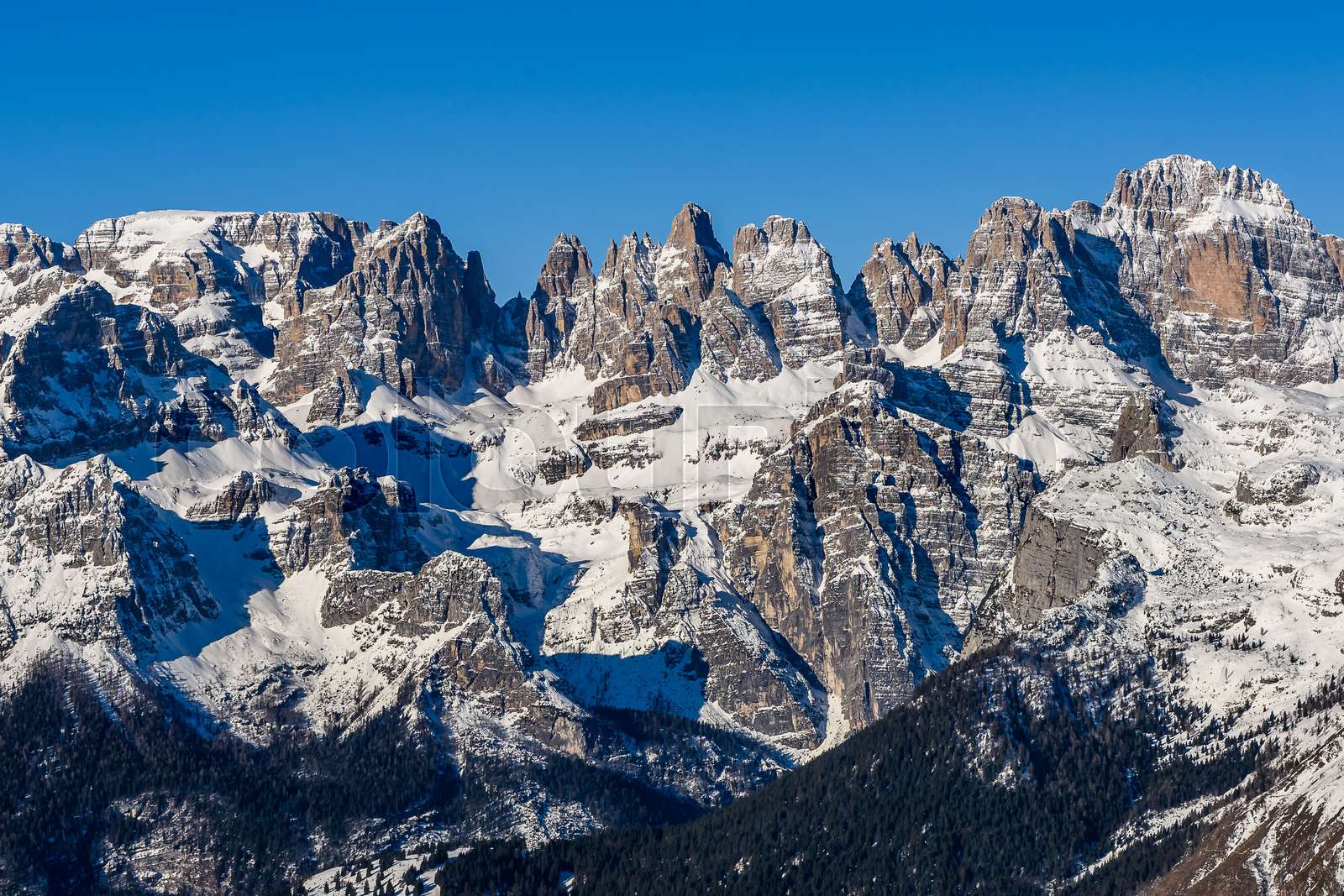 Brenta Group | Stock image | Colourbox