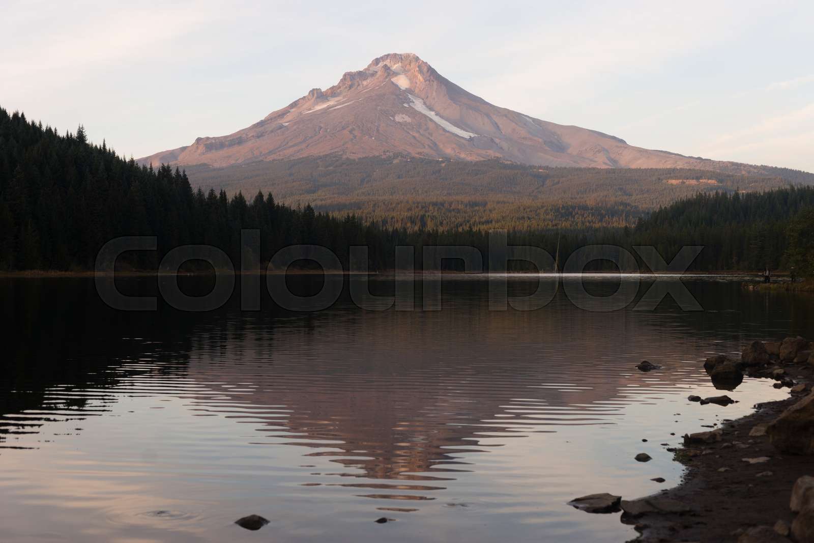 Summer Time Trillium Lake Timberline Mount Hood Cascade Range Oregon ...