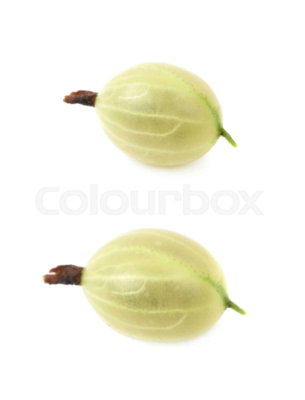 Single gooseberry isolated | Stock image | Colourbox