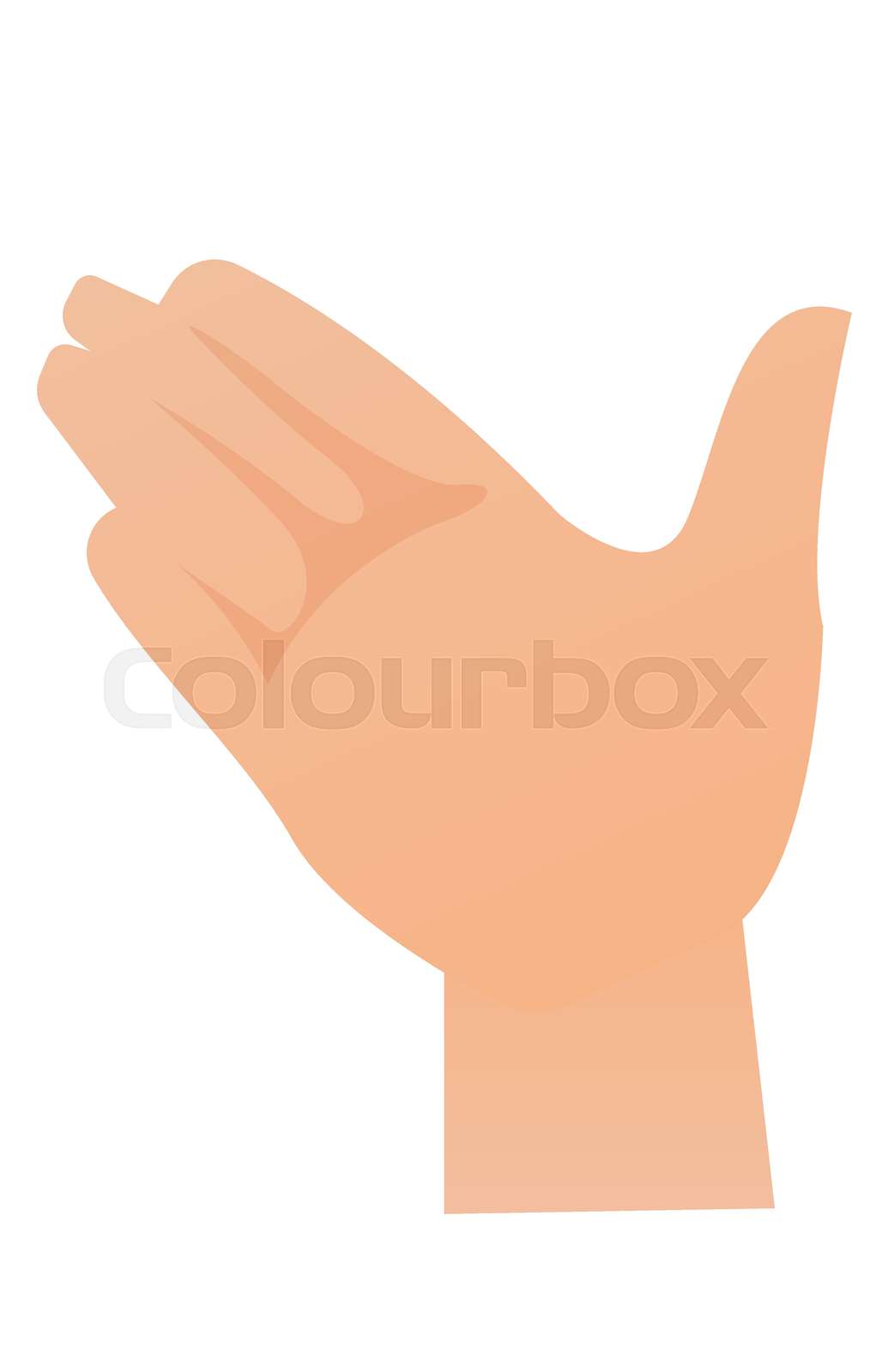 Right palm hand vector cartoon illustration. | Stock vector | Colourbox