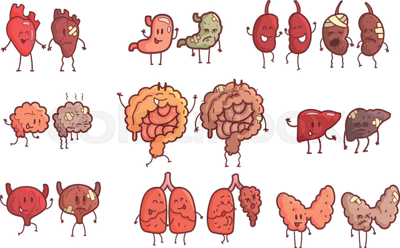 Human Internal Organs Healthy Vs Unhealthy Set Of Medical Anatomic ...