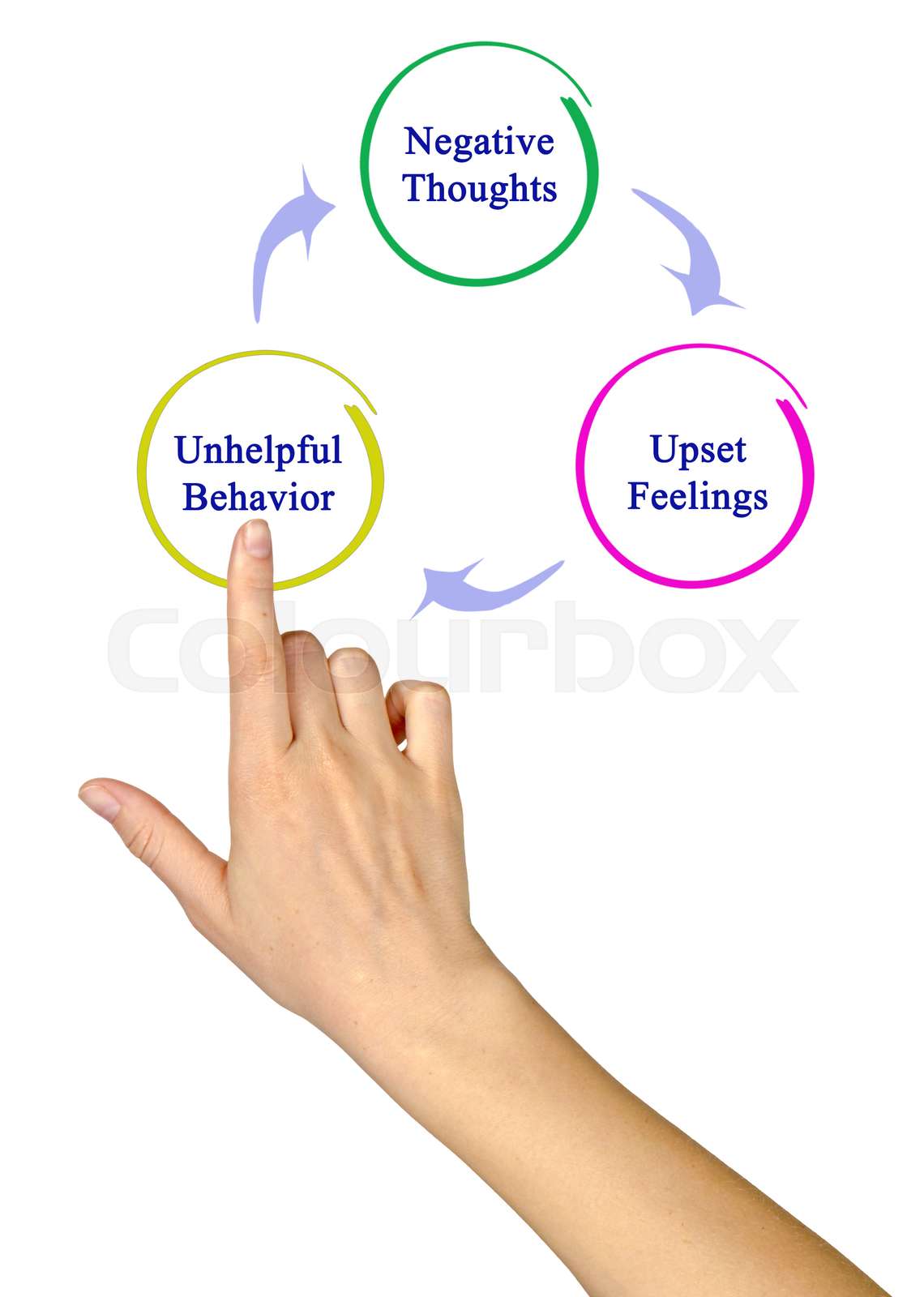 Diagram of Negative Cycle | Stock image | Colourbox