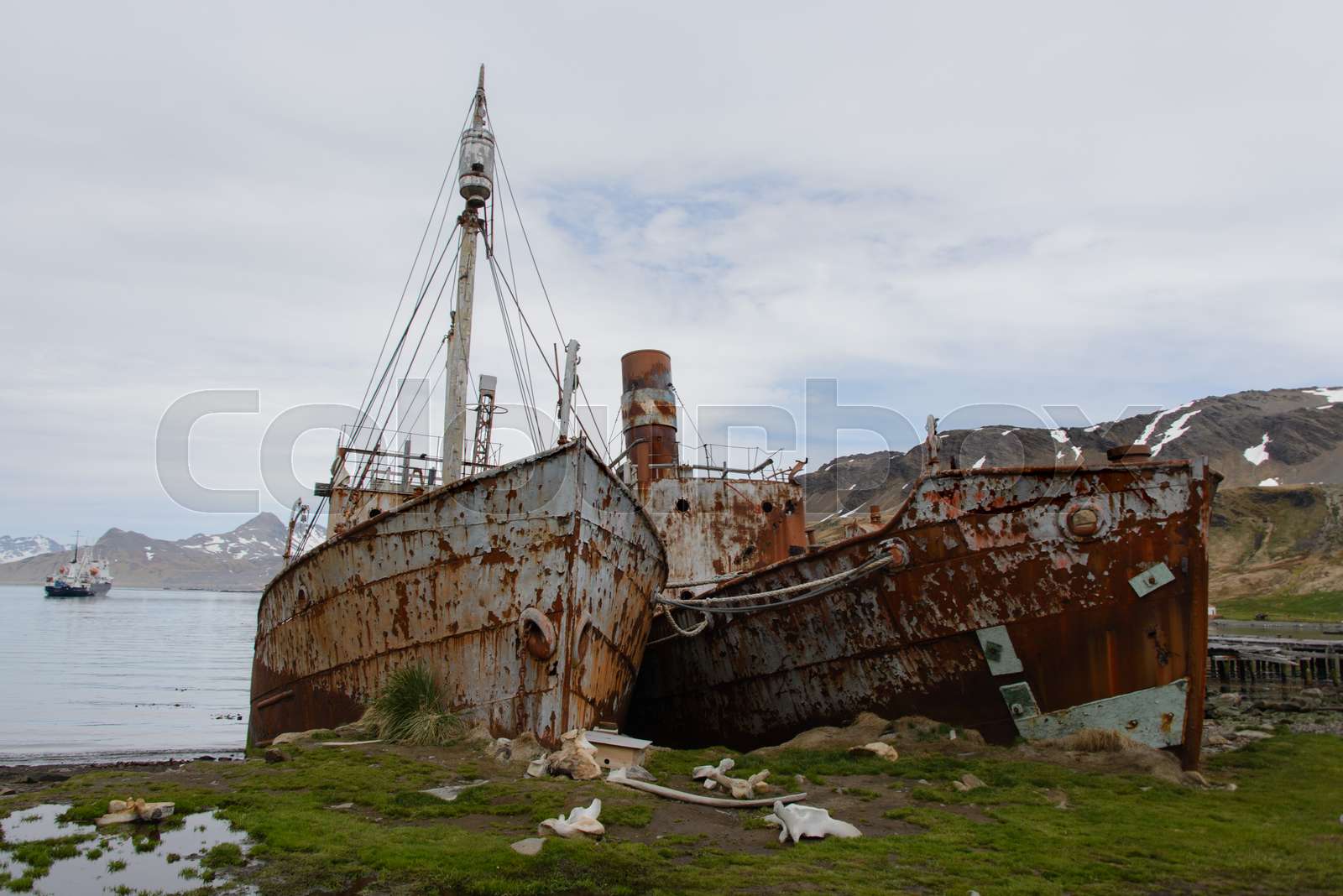 Old whaling rusty ship on Grytviken, South Georgia | Stock image ...