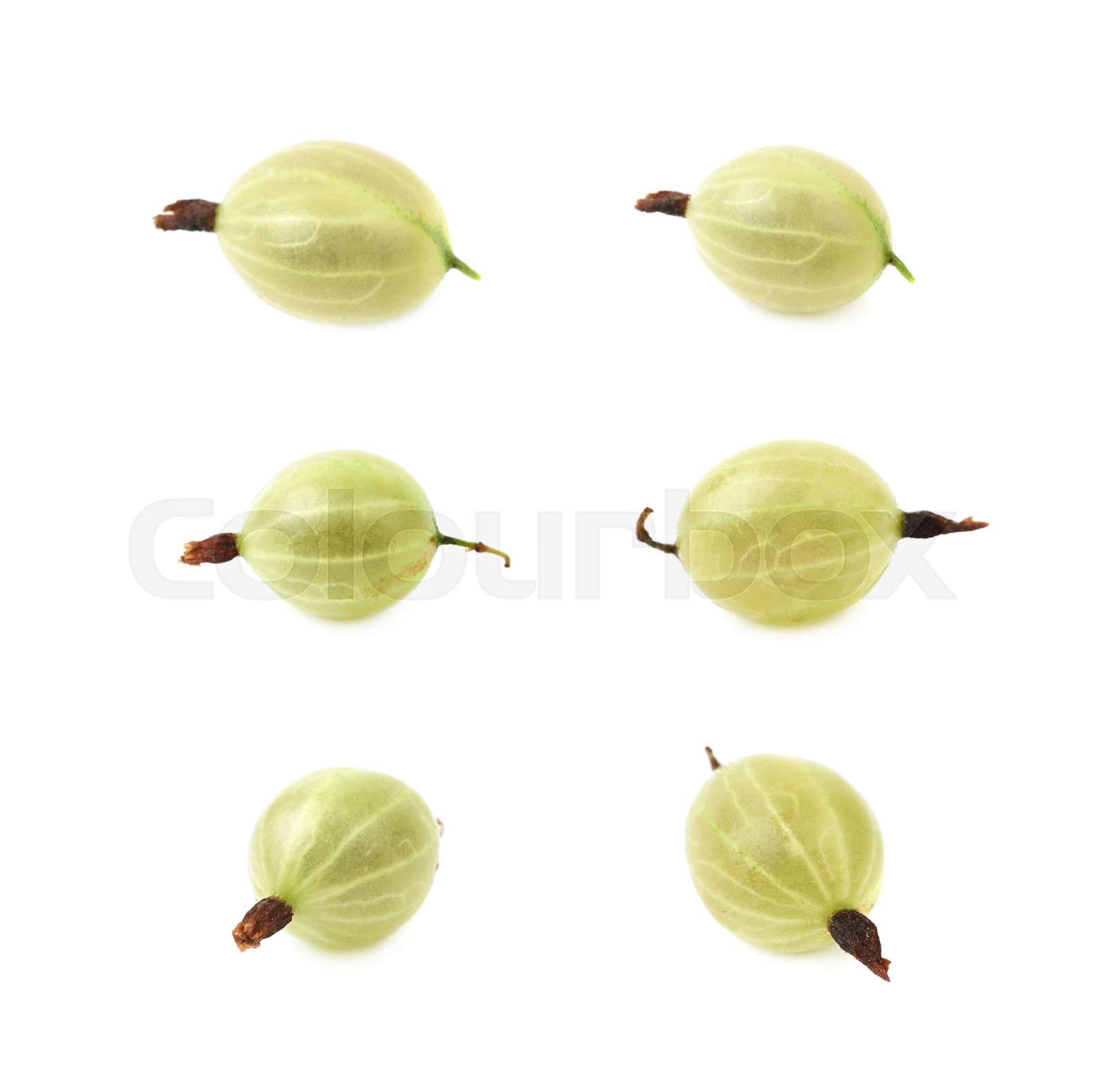 Single gooseberry isolated | Stock image | Colourbox