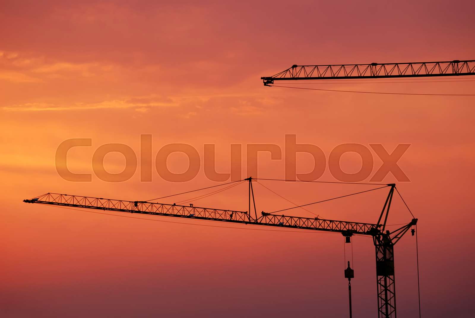 Cranes | Stock image | Colourbox