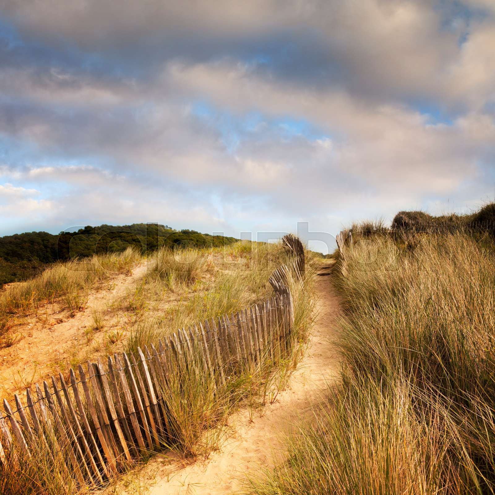 Path Through Dunes | Stock image | Colourbox