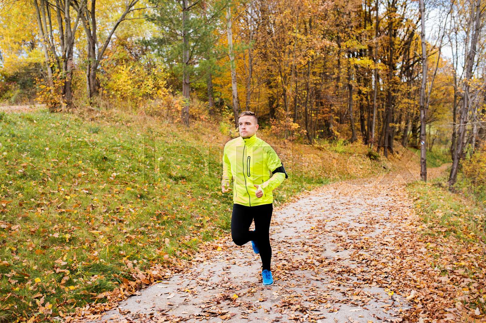 Young athlete with smartphone running in park in autumn. - Stock Image ...