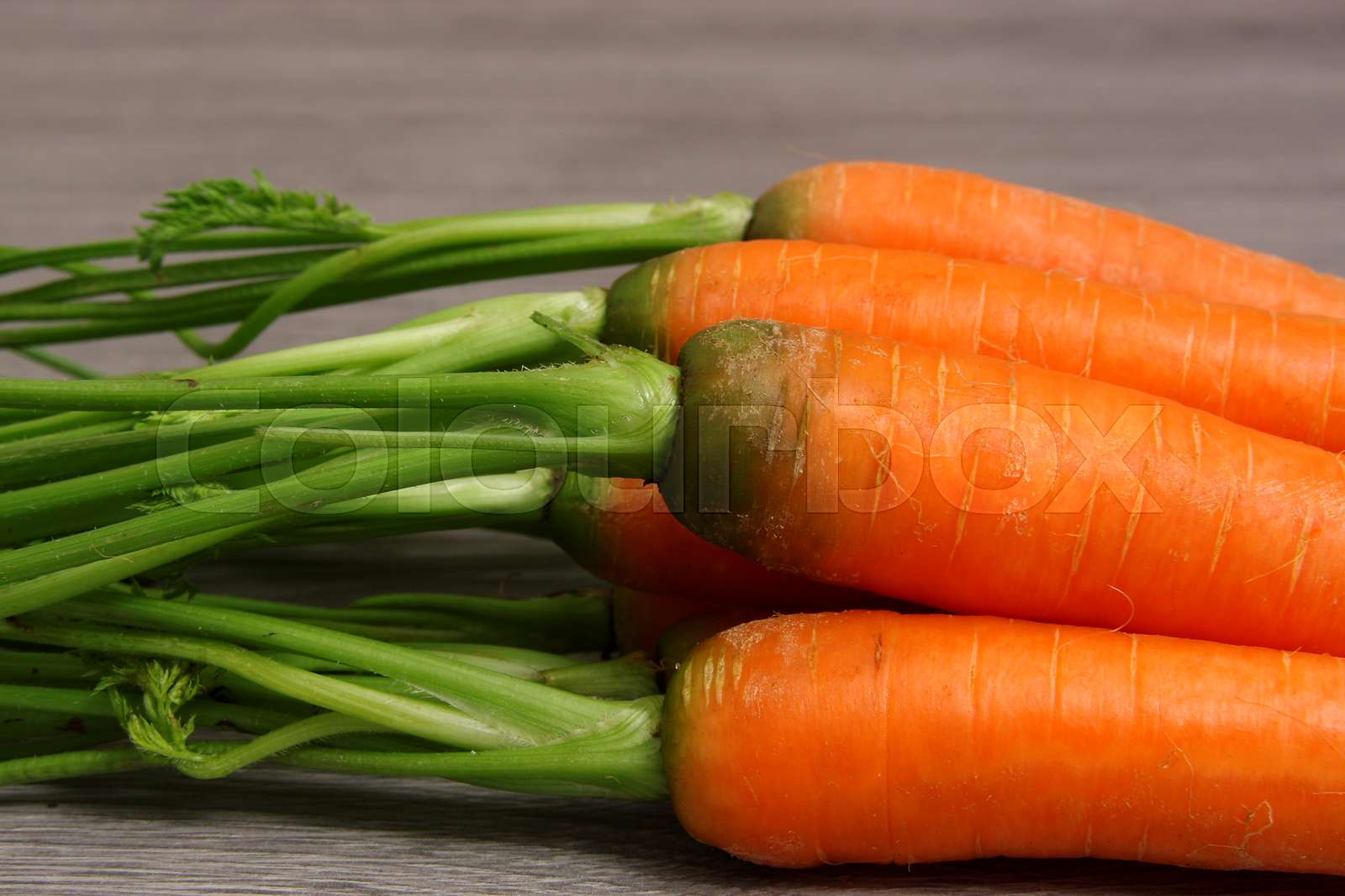 Karotten | Stock Bild | Colourbox