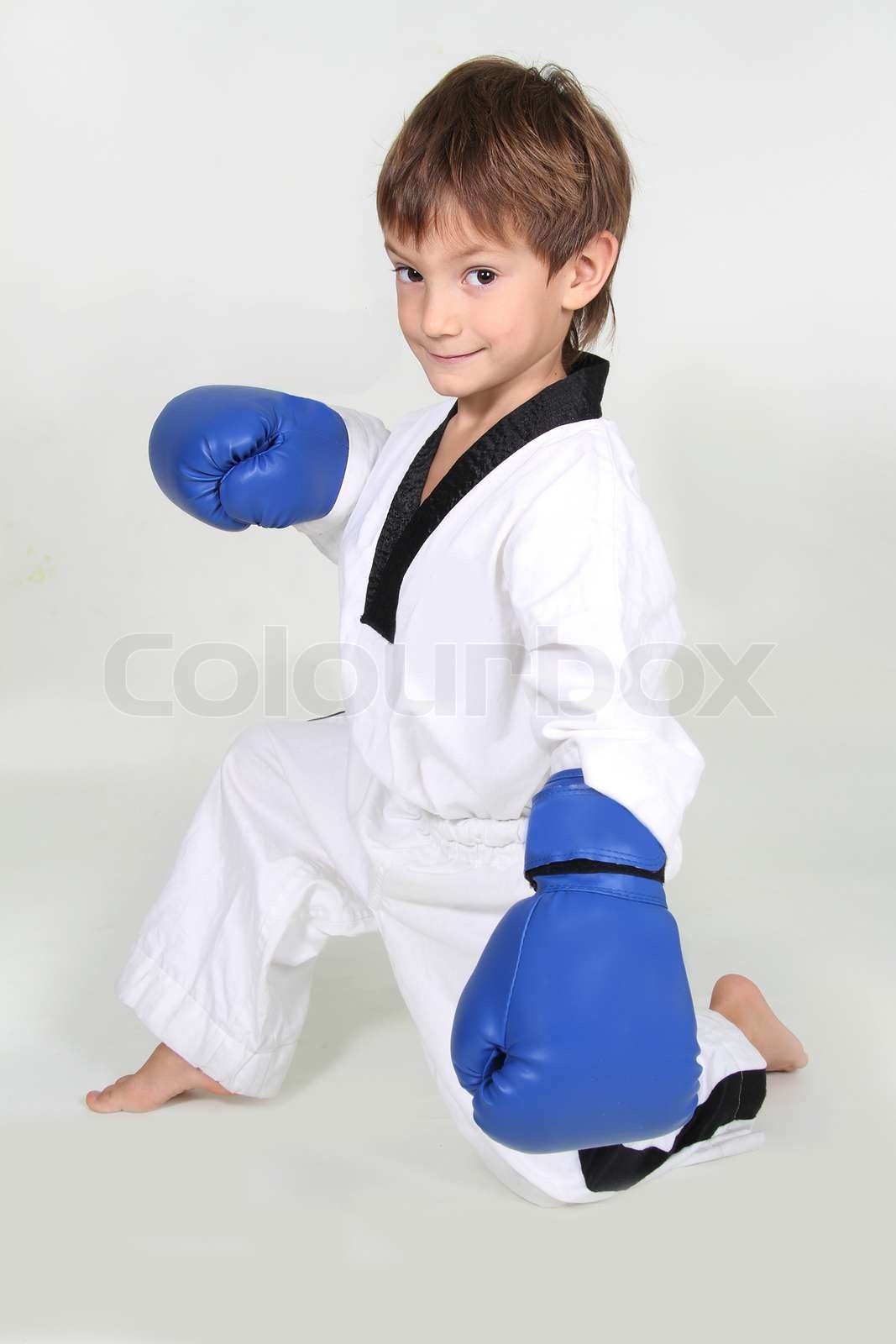 Junge Boxer junge Studioaufnahme | Stock Bild | Colourbox