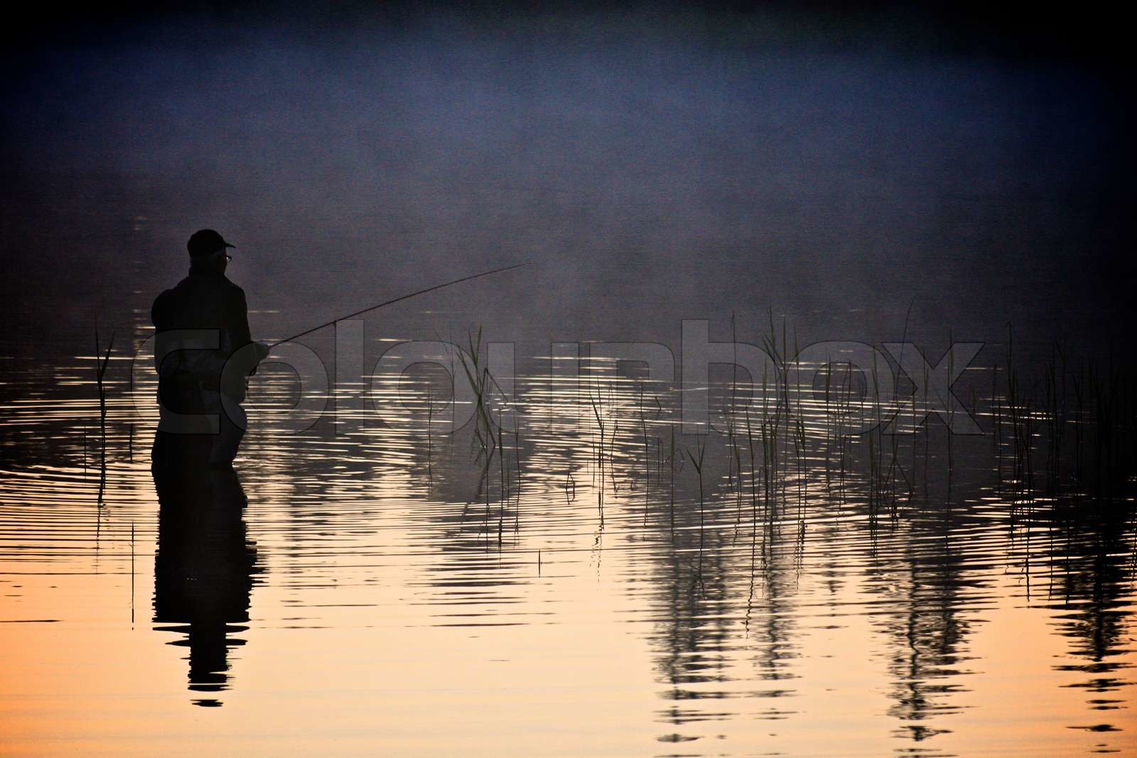 Fly fishing in the sunset | Stock image | Colourbox